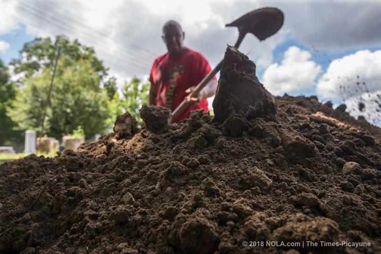 Over 10,000 days of life spent digging graves for New Orleans' dead ...