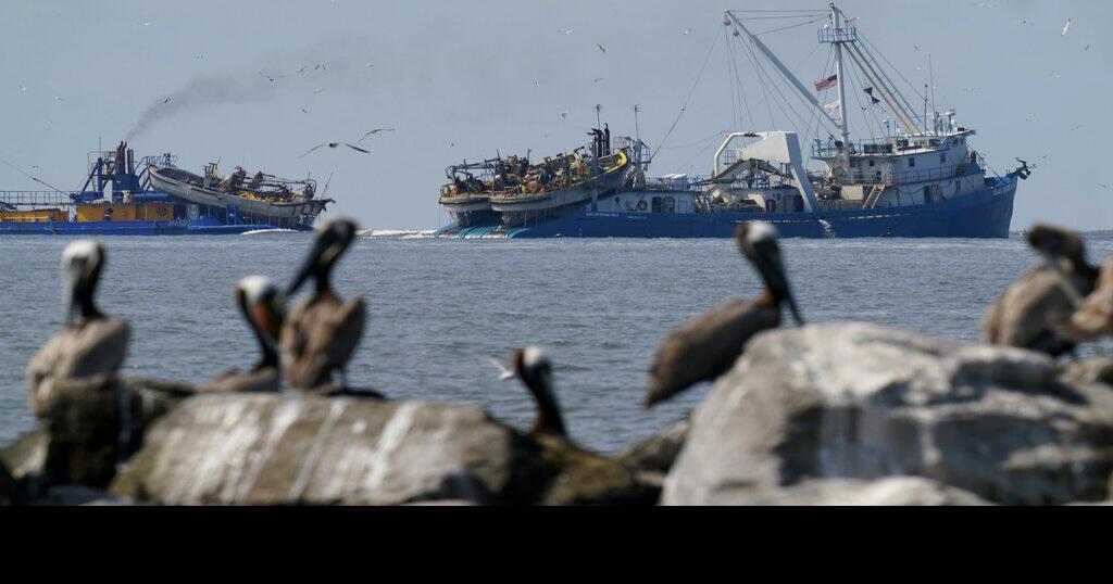 State punts on pogy boat restrictions on Louisiana coast | Environment ...