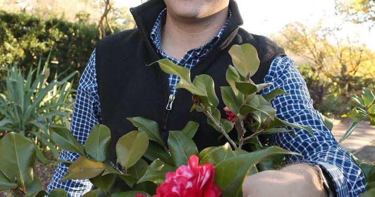 New LSU extension agent to teach the basics and more | Home/Garden ...