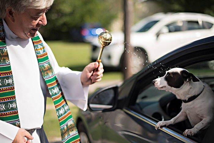 Help keep Abita and Mandeville beautiful, get pets blessed or fill the ...