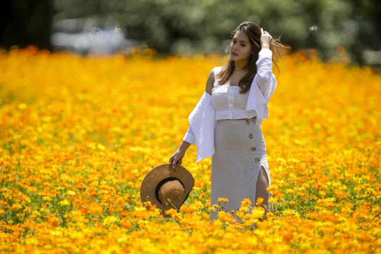 Louisiana's unseasonably nice weather could continue this week, but ...