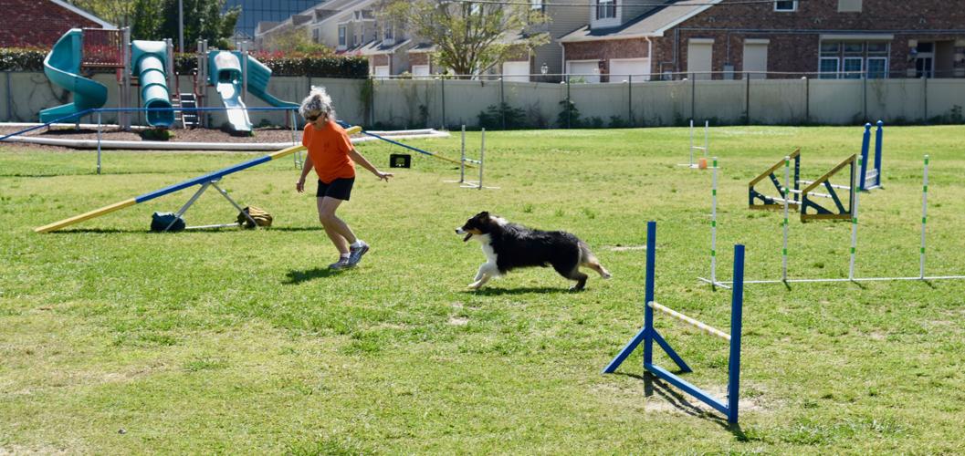 Bissonet Plaza Elementary School treats students to dog agility show ...