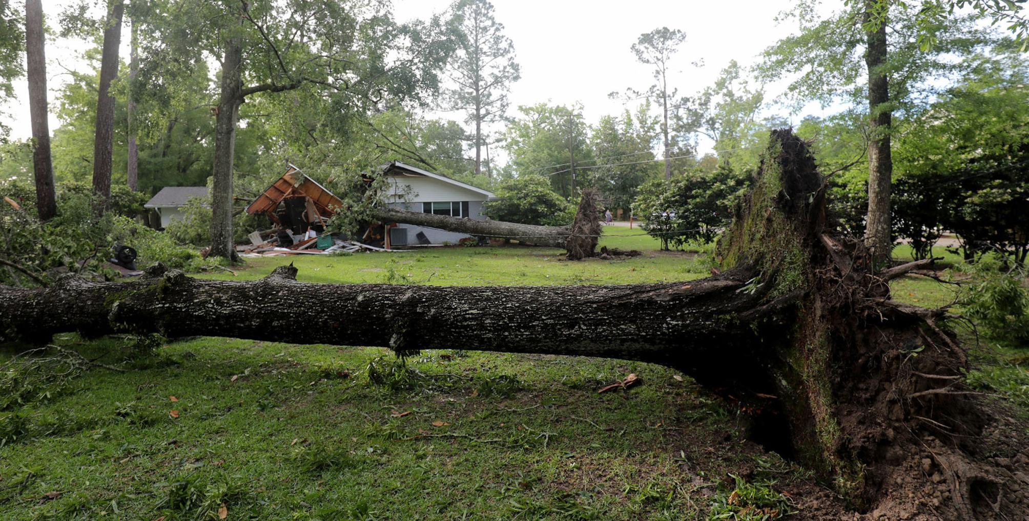 Low-end tornado touched down in Mandeville, National Weather Service ...