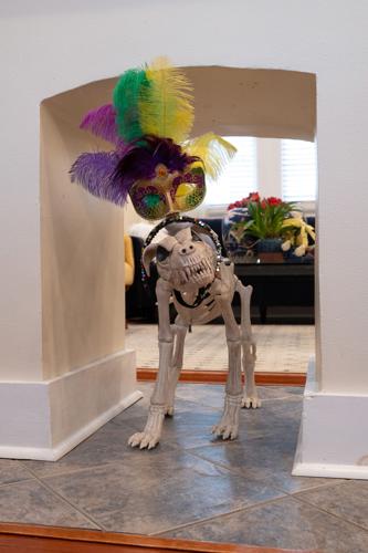 40 years of Endymion parties: A Mid-City house and the parade its owner ...