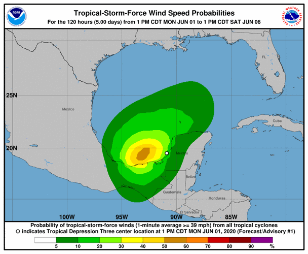 Tropical Depression 3 forms in Gulf of Mexico; forecast track moves it ...