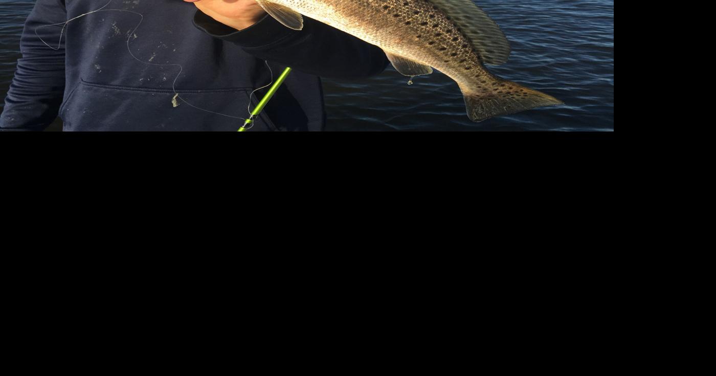 Shrimp maul leads to speckled trout haul | Sports | nola.com