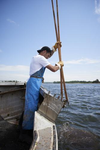 3-course interview: Rowan Jacobsen on oysters of America | Food and ...