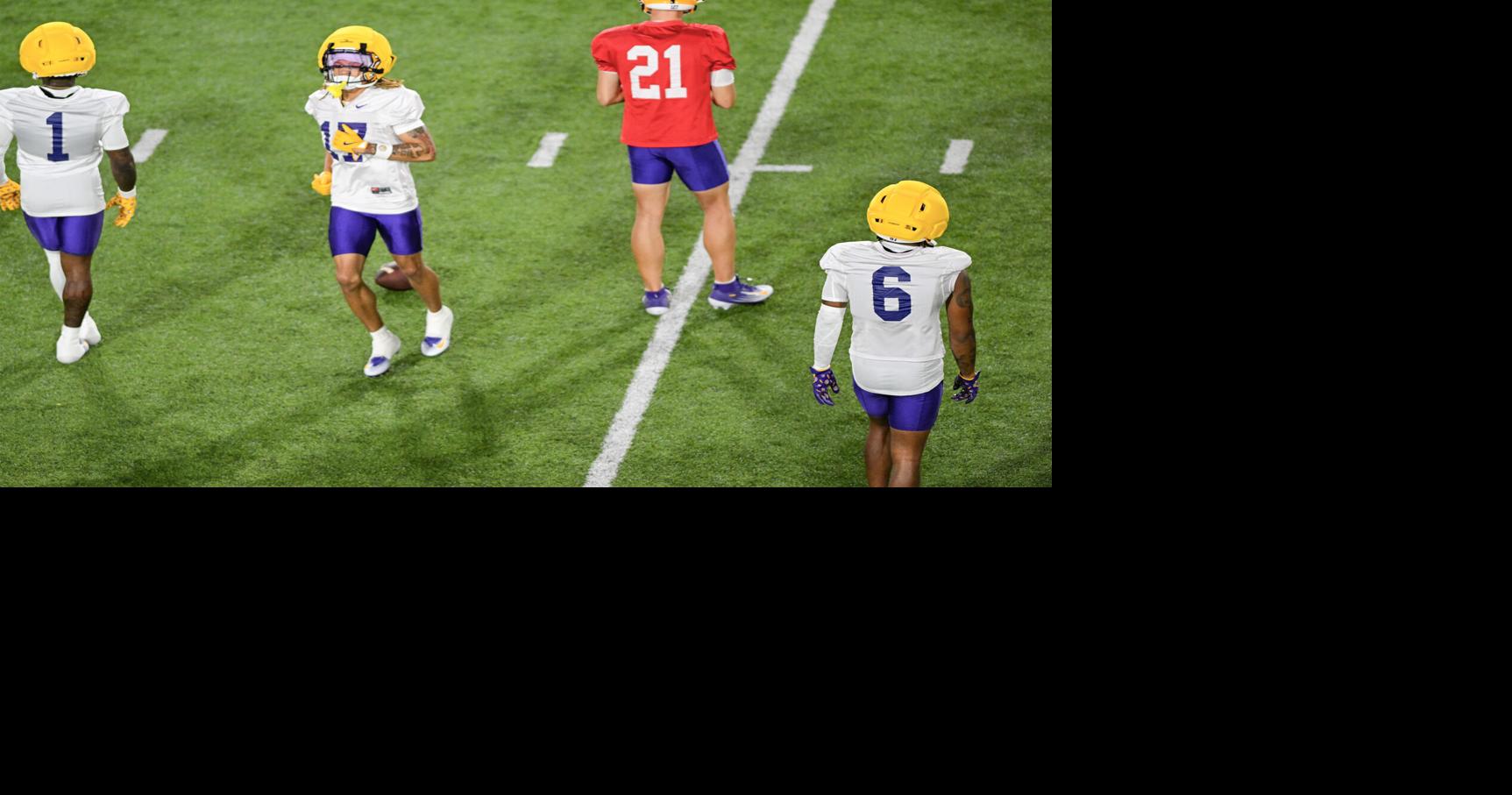 LSU football depth chart to start 2025 preseason practices | LSU | nola.com