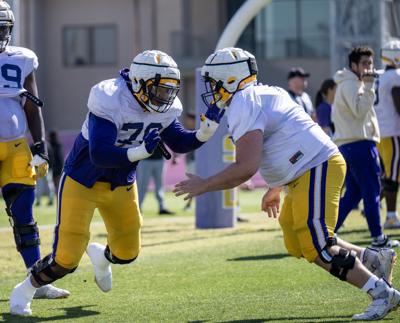 LSU football offensive lineman enters transfer portal | LSU | nola.com