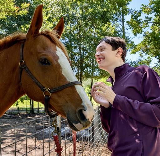There's a healing horse in the house | One Tammany | nola.com