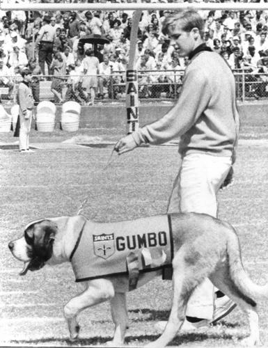 Gumbo rah-rah: How a St. Bernard dog became the New Orleans Saints ...