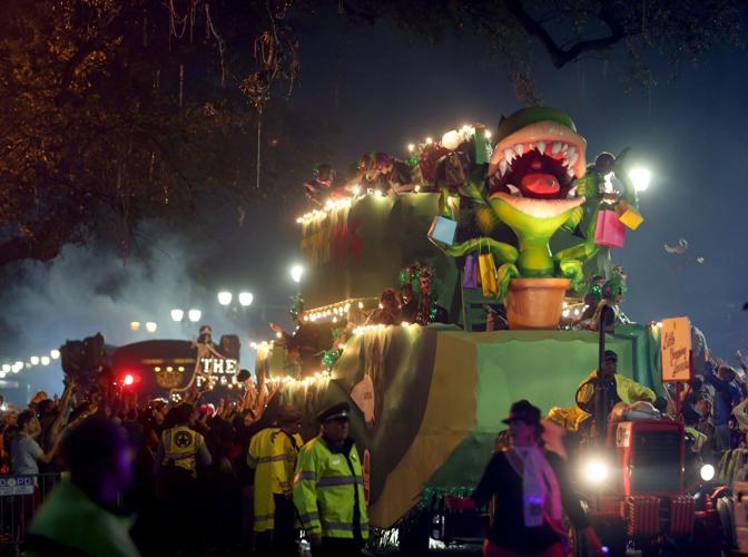Happy birthday Muses! The parade that rocked Mardi Gras turns 20 on ...