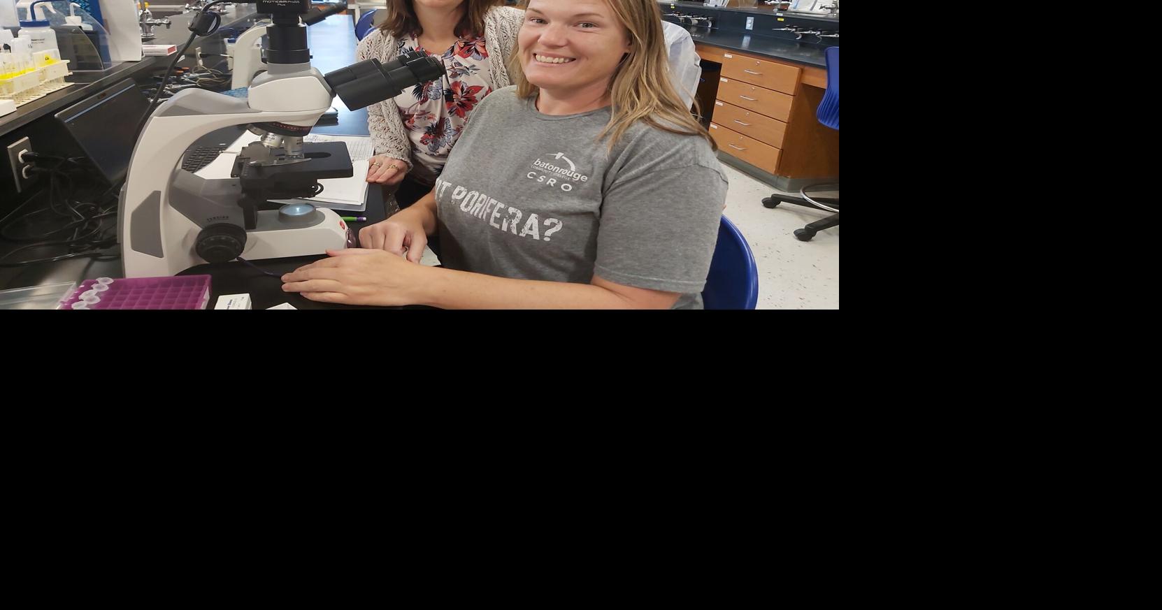 BRCC sponge research project breaks ground, opens doors | Louisiana ...