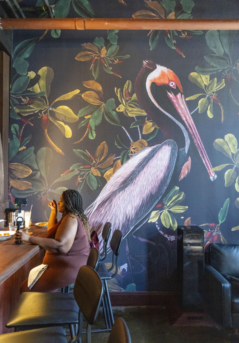 Junebug bar, restaurant opens in downtown New Orleans LA | Where NOLA ...