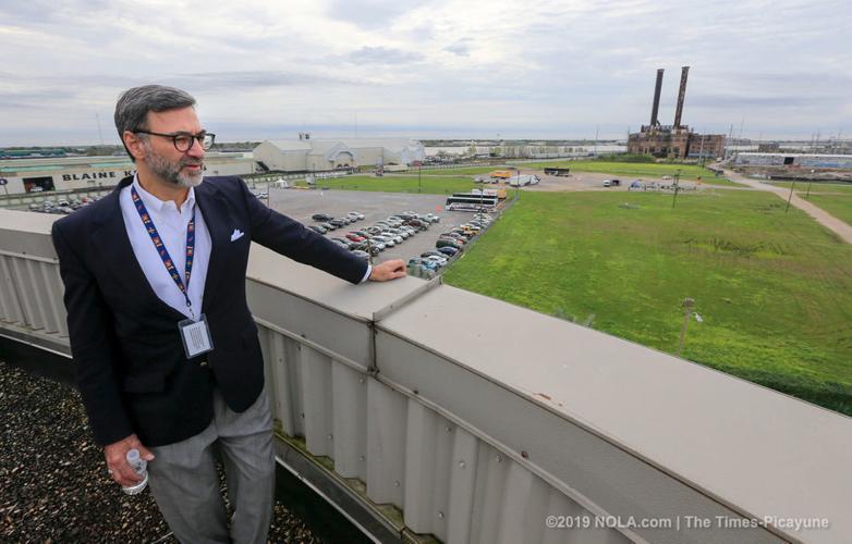 New Orleans Audubon Zoo gets new CEO, Michael Sawaya | Business News ...