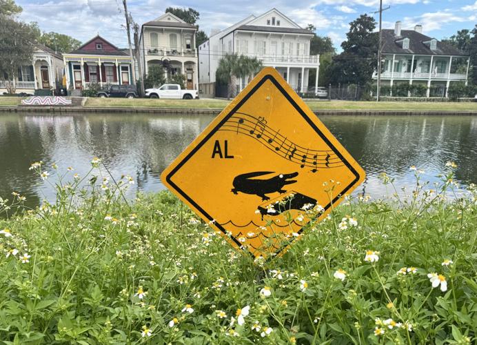 Suspect in Bayou St. John murder found incompetent | Crime/Police ...
