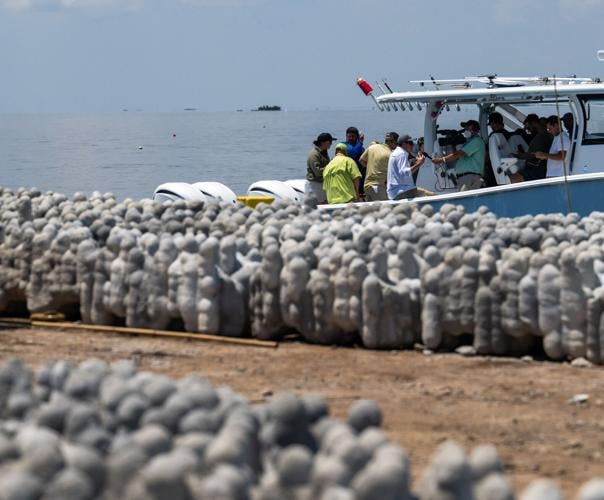 'Cajun coral' builds an artificial reef off Louisiana coast ...