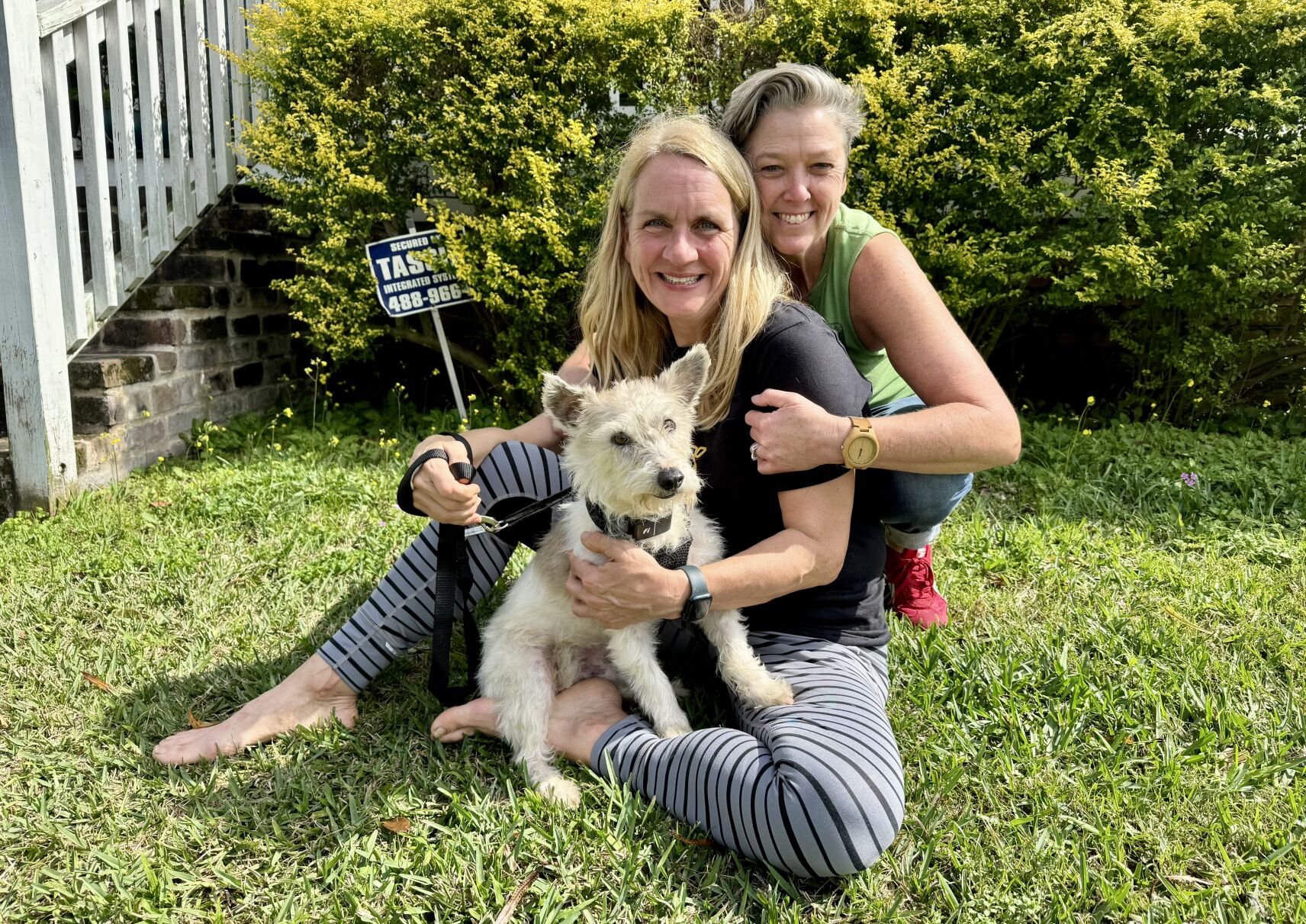 Two women compete to adopt Scrim, New Orleans celebrity dog ...