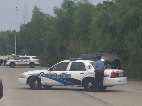 Autopsy shows mother and children in murder-suicide died of single ...