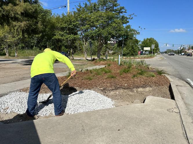 Planting a better face on a commercial strip in Mandeville | St ...