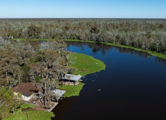 Dying Louisiana swamp to be revived with unique project | Environment | nola.com