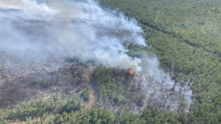 For swamp fires, New Orleans officials want training, gear ...