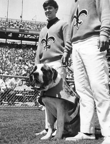 Gumbo rah-rah: How a St. Bernard dog became the New Orleans Saints ...