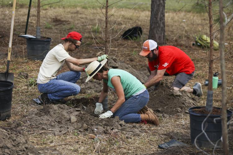 Putting down roots | | nola.com