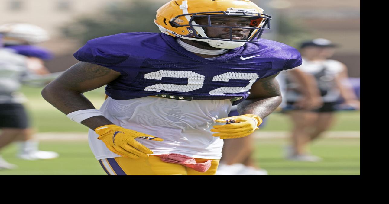 LSU DB Duce Chestnut officially in transfer portal | LSU | nola.com