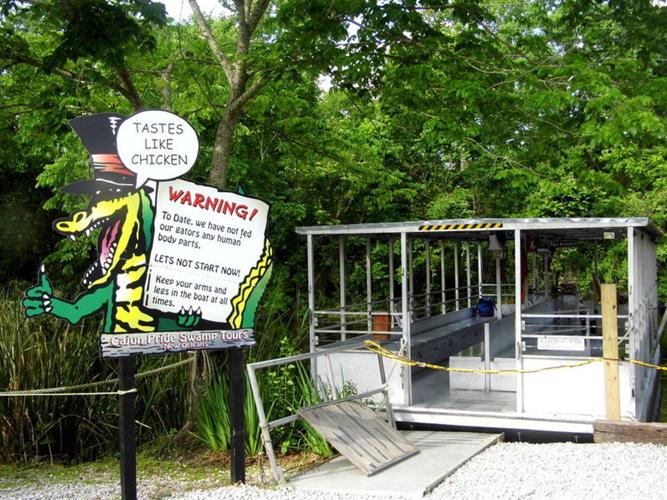 Why you should go on a swamp tour in the River Parishes | Archive ...
