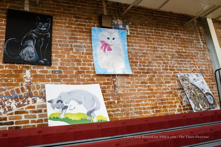 Lil' Bunny Sue Roux among Internet cat video stars at New Orleans Cat ...