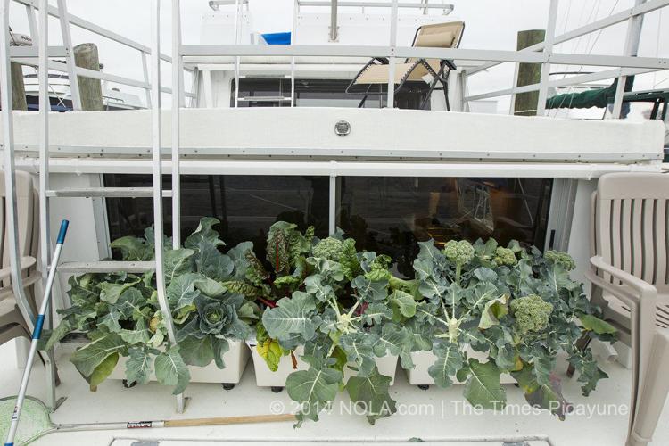 At home on the water: architect Don Helgeson renovates a houseboat and ...