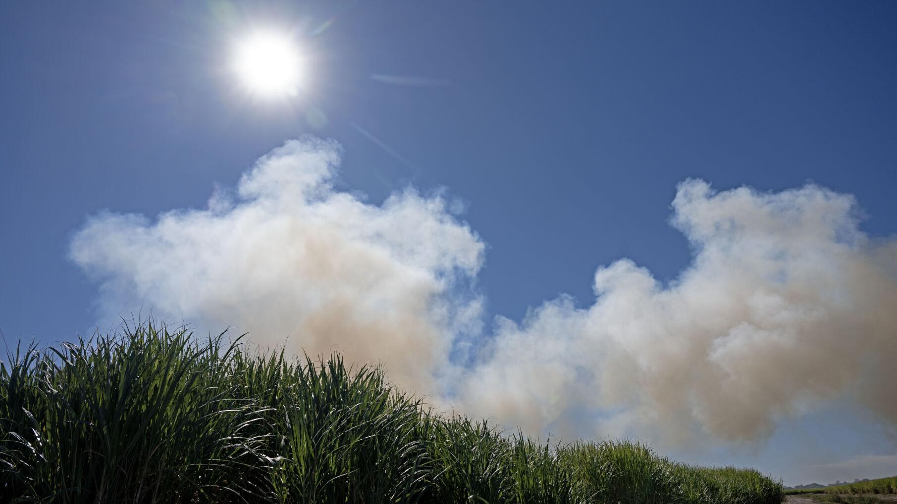 burning sugar cane fields