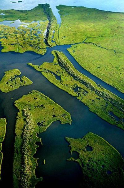 Review: images of Louisiana coastal wetlands | The Latest | Gambit ...