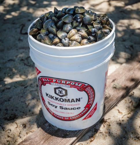 Fontainebleau State Park sees major spike in fecal coliform, posts ...