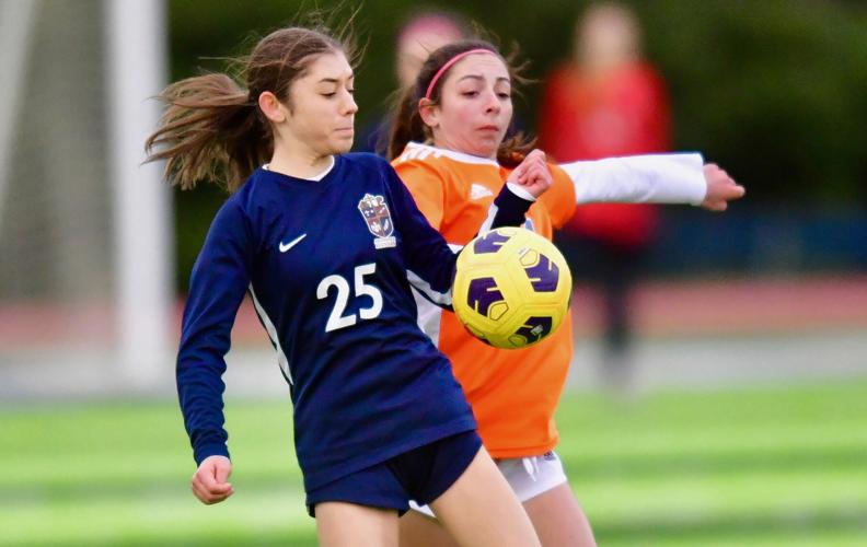 TWICE AS NICE: Hannan heads back to D-III finals with 3-0 semifinals victory | St. Tammany ...