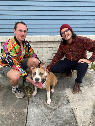 Musicians and their pets: DJ Soul Sister, Bobby Lewis and more share ...