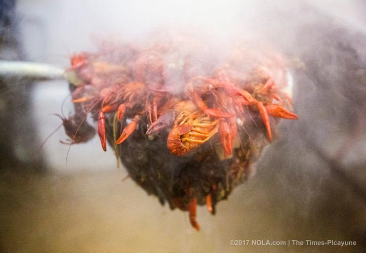 Crawfish for Christmas? Season starts earlier in recent years | Where ...