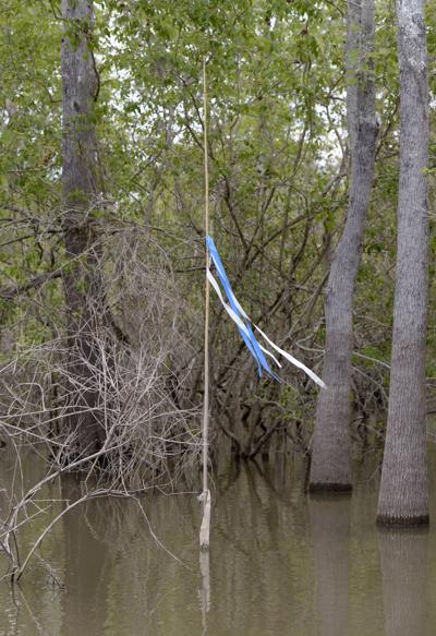 Letters: Setting record straight on Bayou Bridge | | nola.com