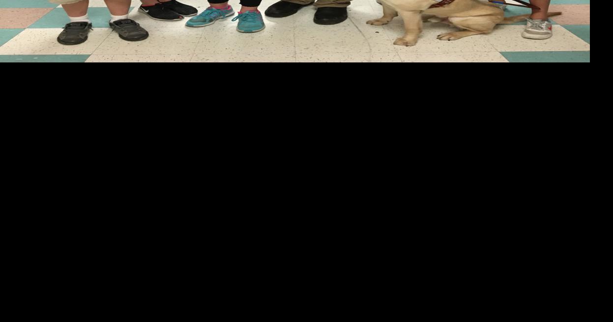 Tchefuncte Middle School fifth-graders learn about guide dogs | St ...