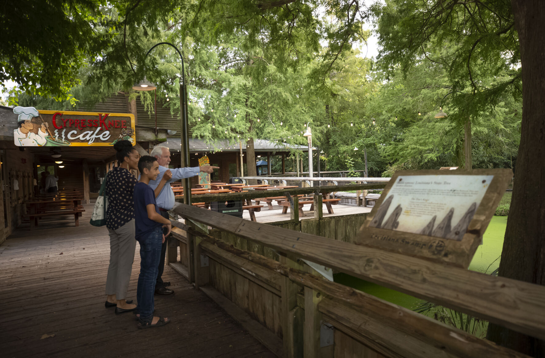 Swamp Fête at Audubon Zoo features bears, music, Cajun food | Where ...