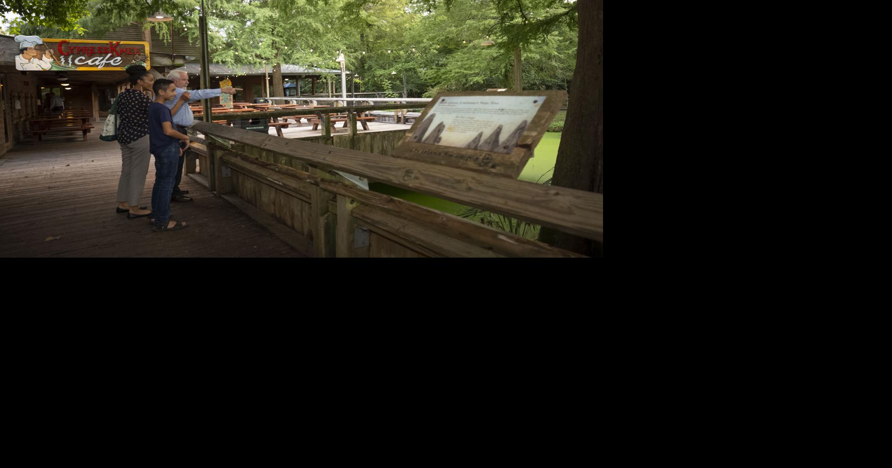 Swamp Fête at Audubon Zoo features bears, music, Cajun food | Where ...