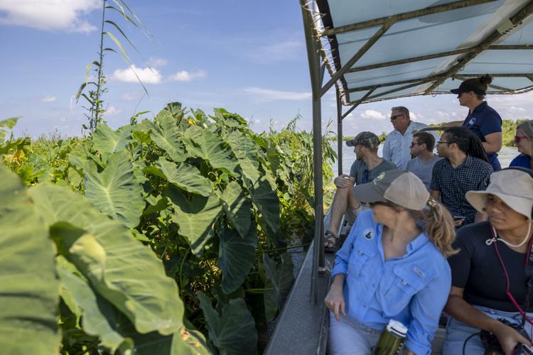 Corps eyes solution for Neptune Pass, a Mississippi River channel that ...