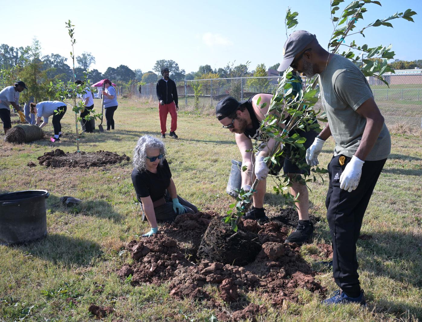 one tree horticulture