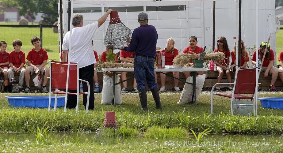 LSU AgCenter hosts AgMagic on the River at Docville Farm | Education ...