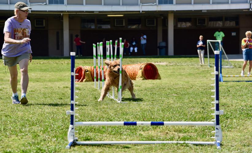 Bissonet Plaza Elementary School treats students to dog agility show ...