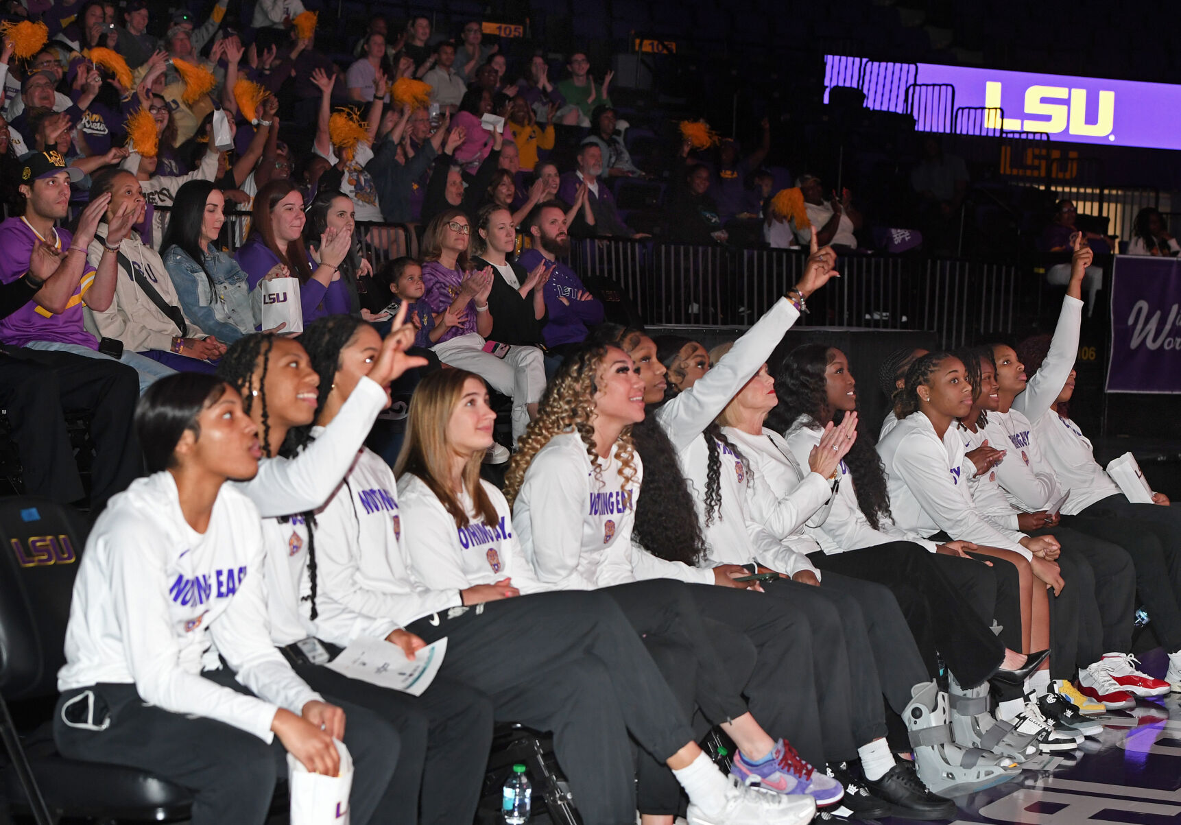 LSU can go far in NCAAs if Tigers are healthy.enough | LSU | nola.com