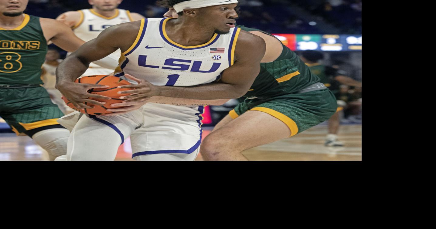 LSU guard Carlos Stewart has entered the transfer portal | LSU | nola.com