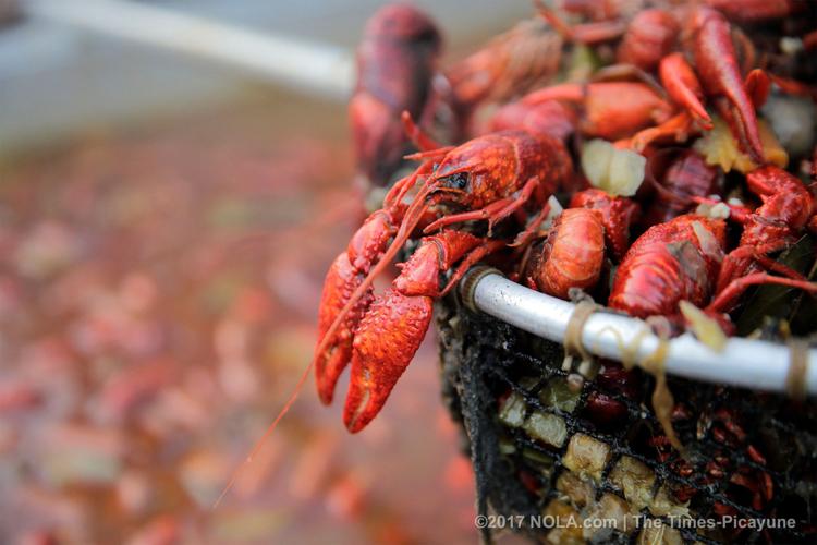 The fifth annual Jamie's Big A** Party on Oak St. in New Orleans ...