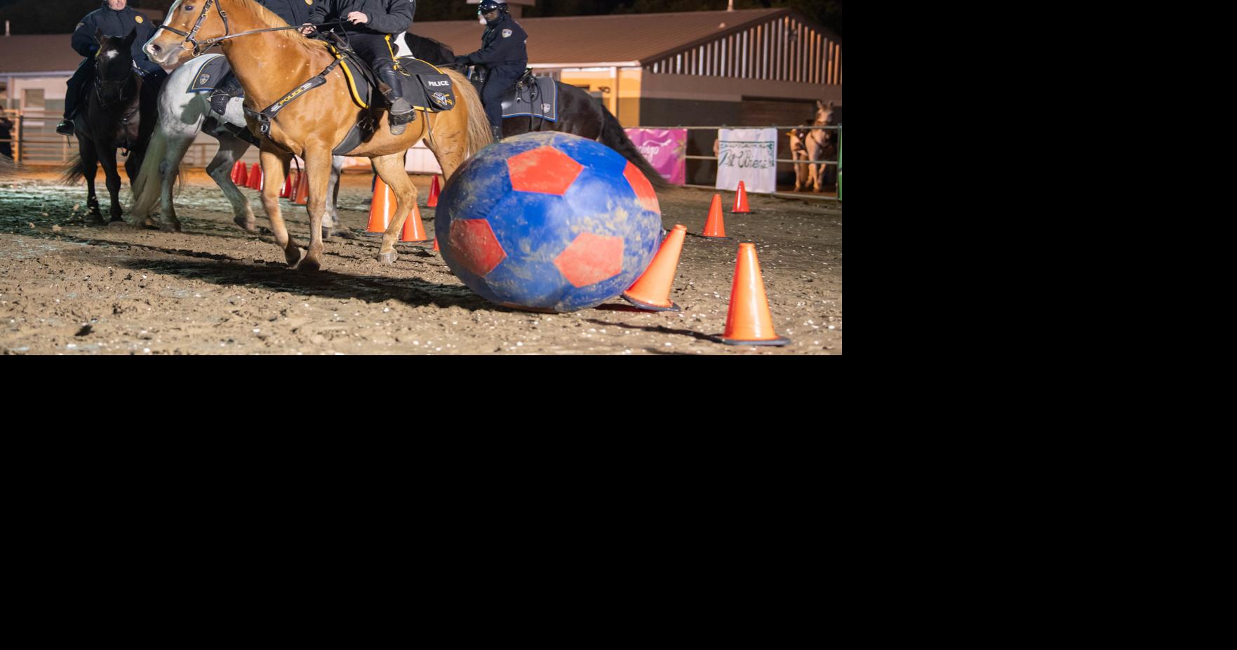 Video: How soccer trains NOPD's mounted police division, raises money ...